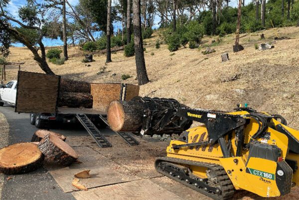 Fire Defensible Space in Santa Rosa and Sonoma County